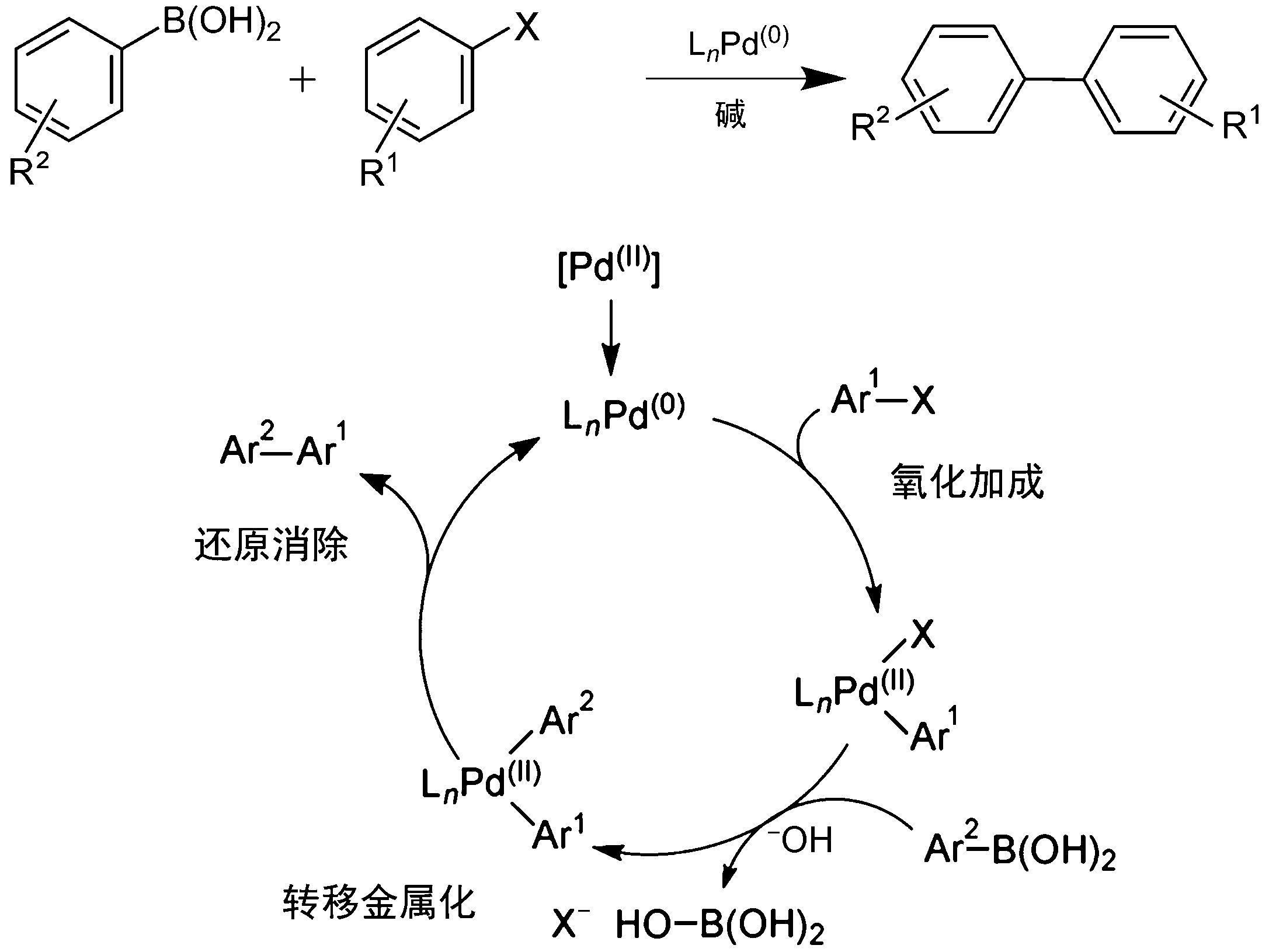 浅谈国外“Suzuki-Miyaura金属偶联反应”的教学设计思路