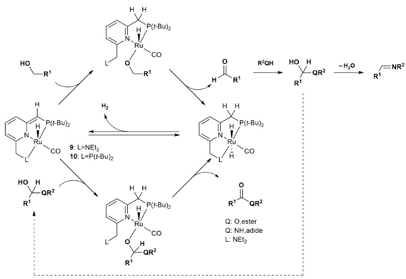 “受阻Lewis酸碱对”化学的研究进展