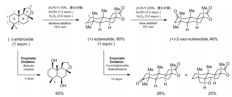 Fe(PDP)催化的C―H键活化