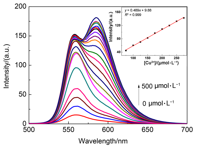 BODIPY基荧光探针的合成、表征及对铜离子的检测——推荐一个大学综合化学实验