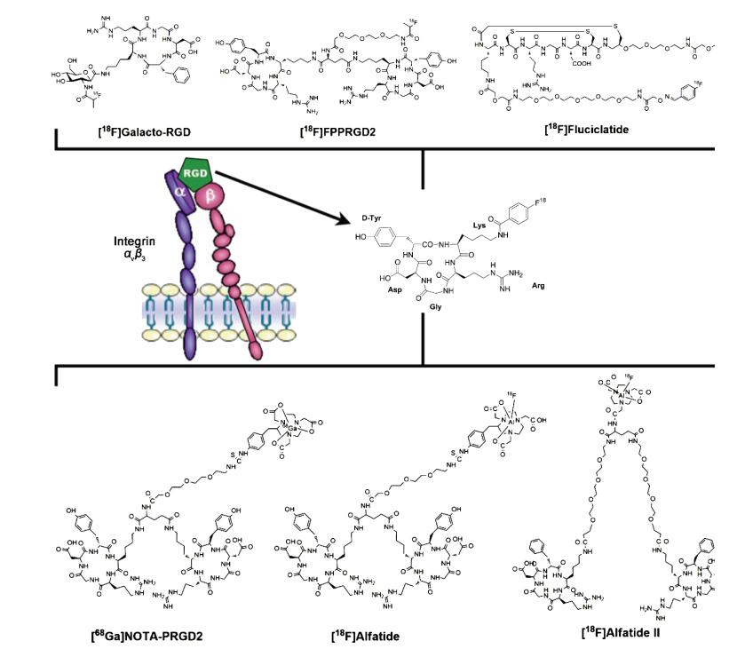 核药物发展小记