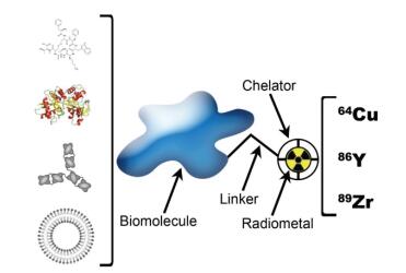 核药物发展小记