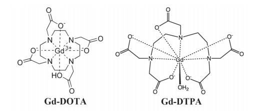 钆离子：周期表中最高自旋的离子