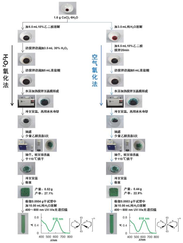 “trans/cis-[Co (en)2Cl2]Cl配合物的制备及其光谱鉴定”实验教学实施结果与探讨——培养学生批判性思维的典型案例之一