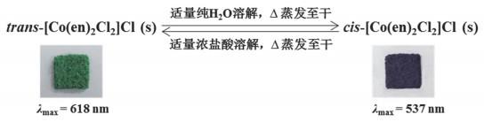 “trans/cis-[Co (en)2Cl2]Cl配合物的制备及其光谱鉴定”实验教学实施结果与探讨——培养学生批判性思维的典型案例之一