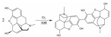 梦神之花，堕落之果——吗啡