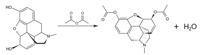 梦神之花，堕落之果——吗啡