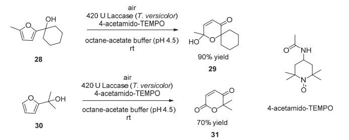 Achmatowicz重排反应的研究进展