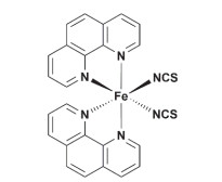 磁性多稳态特区形象大使选拔赛