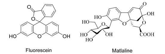 有机小分子荧光材料的前生今世
