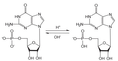 超分子组装体动态重构综合实验