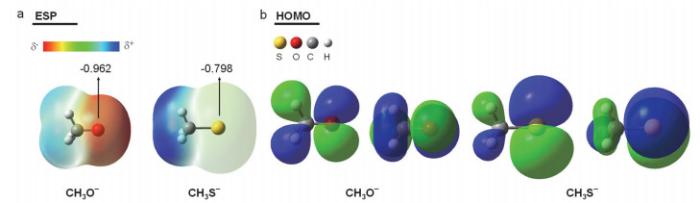 对“应用量子化学计算理解溶剂对CH3O−/CH3S−亲核性的影响”的思考与拓展