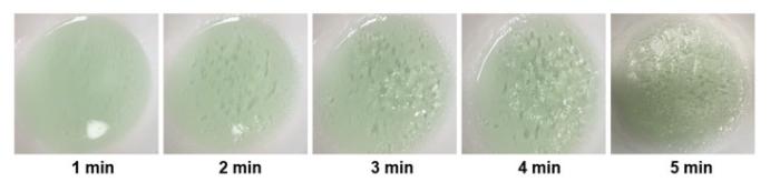 同铁不同性：FeSO4∙7H2O和(NH4)2Fe(SO4)2∙6H2O——硫酸亚铁铵制备的改进实验