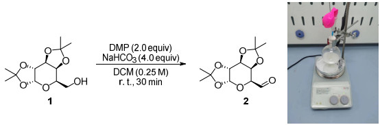 基于DMP氧化和HWE反应的半乳糖修饰