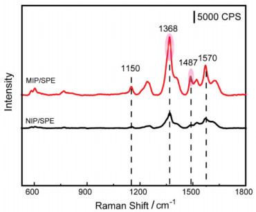 电化学聚合法制备分子印迹电极用于饮料中兴奋剂的检测——对“电聚合制备导电高分子”实验的改进