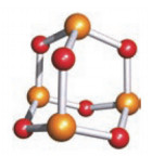 砒霜——亦敌亦友，千年情仇