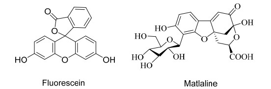 有机小分子荧光材料的前生今世