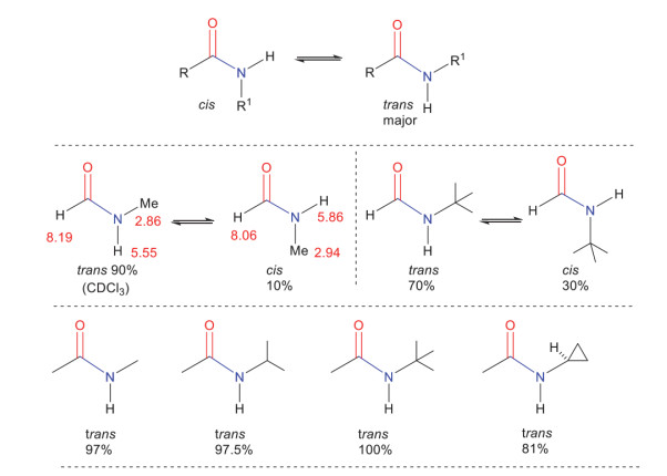 1 H NMR Spectrum of Amide Compounds